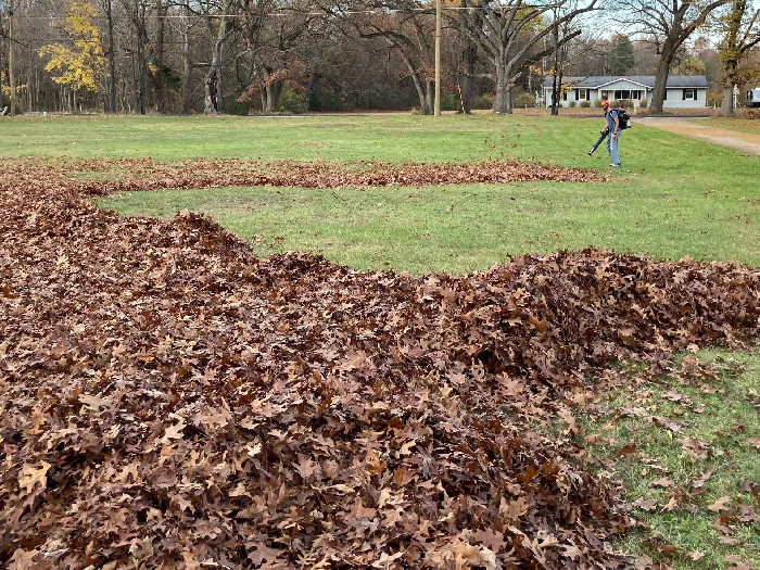 Leaf Cleanup :: Homestead Handiwork