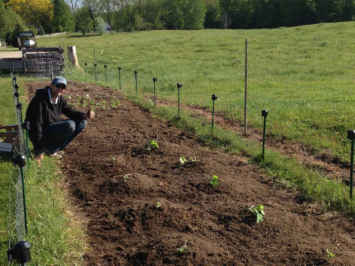 Garden Tilling :: Homestead Handiwork